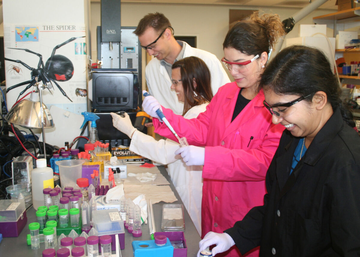 Utah State lands contract with Army to produce spider silk | News ...